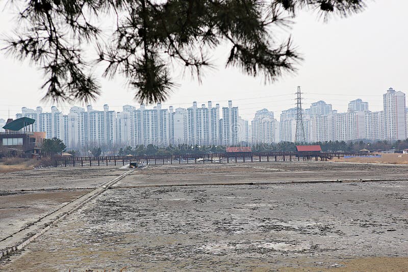 Korea ecological park editorial stock image. Image of korea - 210741449