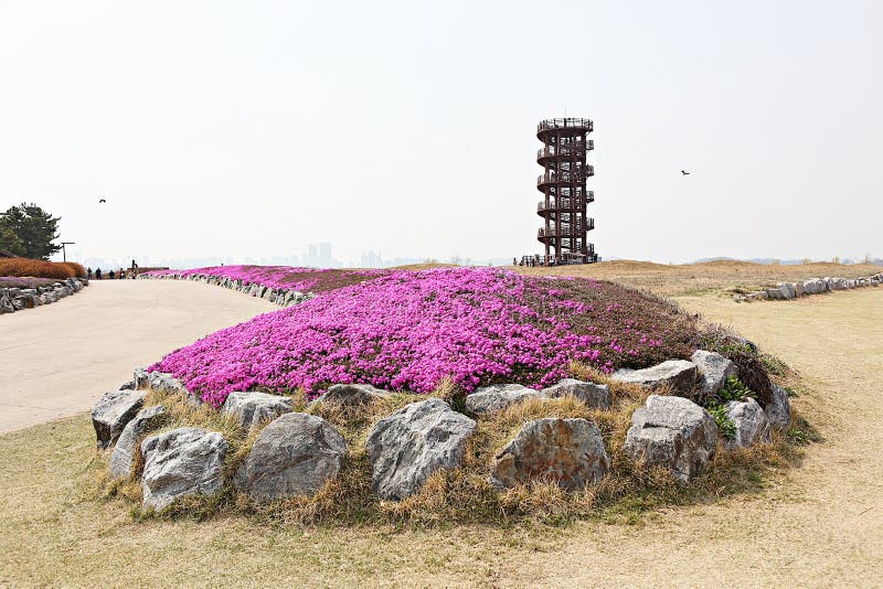 Korea ecological park editorial photography. Image of salt - 210973157