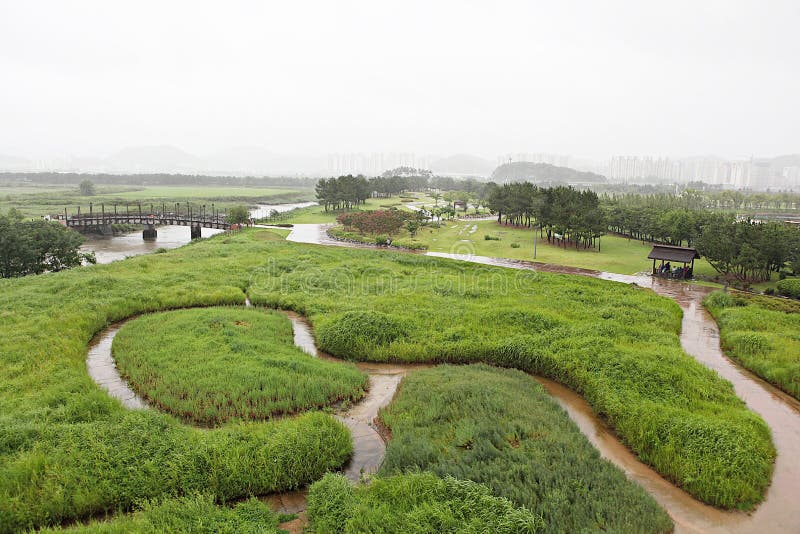 Korea ecological park stock photo. Image of park, ecologicalpark ...