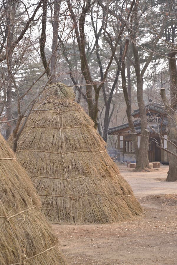 Korean Rustic Cottage Hay House Accommodation Editorial Stock Photo ...