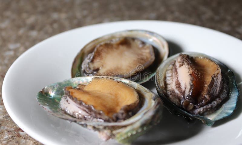 Fresh Abalone on a White Plate. Stock Photo - Image of produce ...
