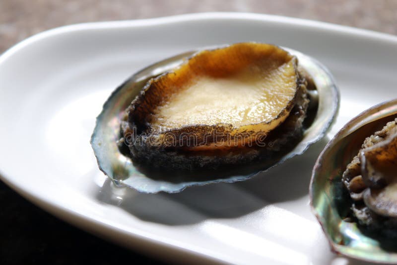 Korea s healthy abalone. stock image. Image of cooking - 347729911