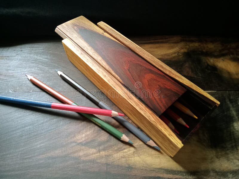 Korean Fir Tree (Abies Koreana) Branches and Cones Stock Image - Image ...