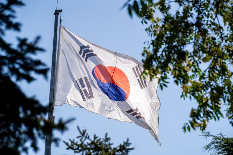 Korean Flag among Tree Branches Stock Image - Image of summer, blossom ...