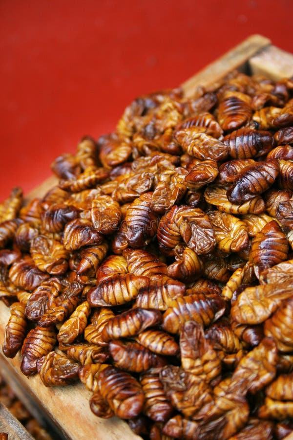 Korean food stock photo. Image of tasty, palatable, fried - 1457626