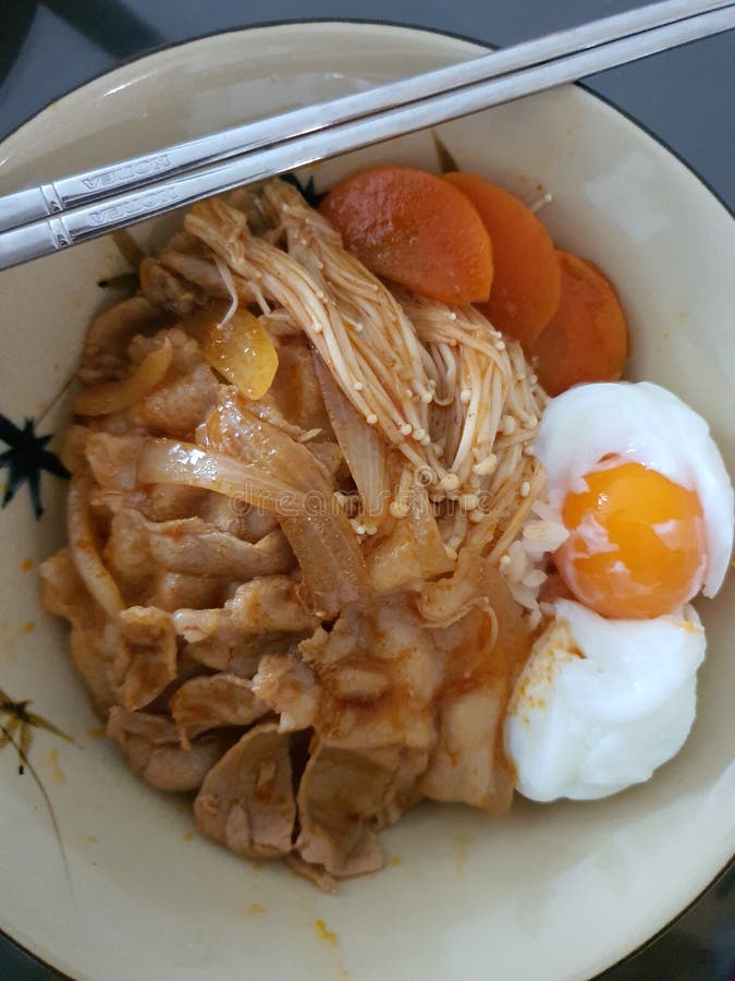 Korean Pork Over Rice Homemade Stock Photo - Image of pork, dish: 225915526