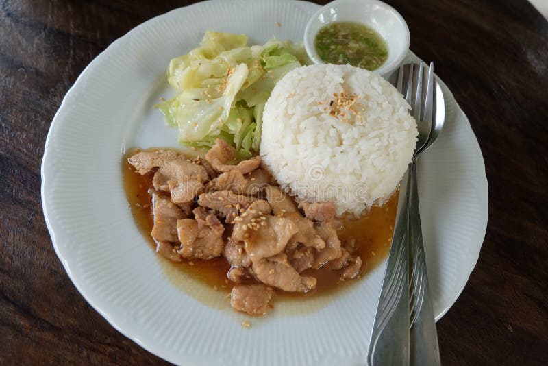 Korean pork with rice stock image. Image of cook, pork - 66076769