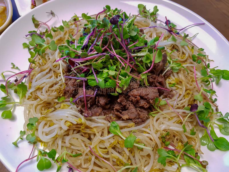 Korean Style Food Beef and Bean Sprouts Stock Image - Image of ...