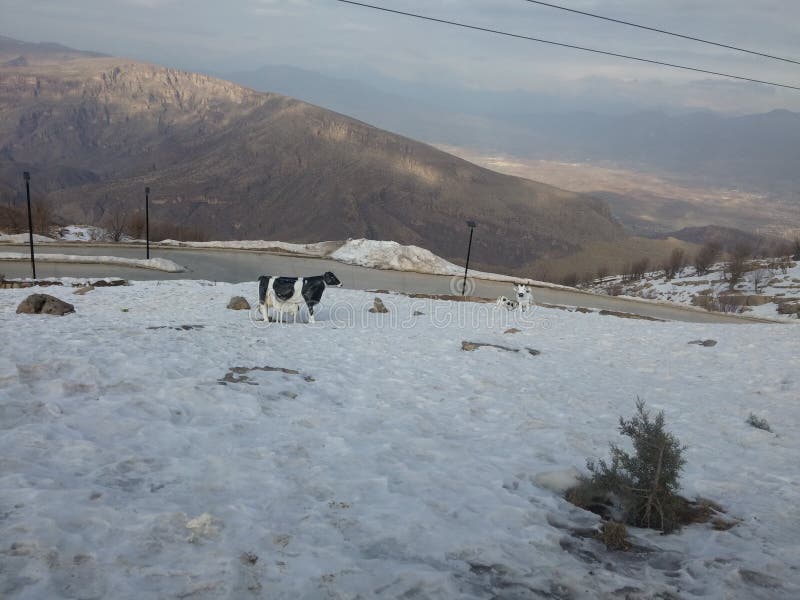 Korek mountain stock image. Image of telefrek, iraq, erbil - 89371475