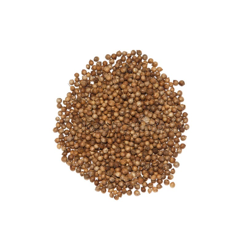 Koriander stock foto. Image of hierboven, smaak, kruiden - 44671500