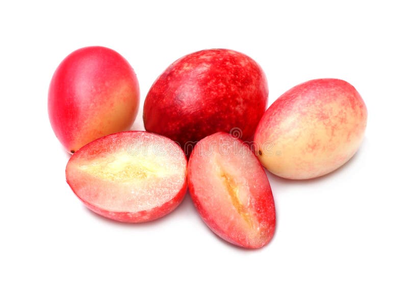 Koromcha or Carandas fruit stock photo. Image of india - 96522342