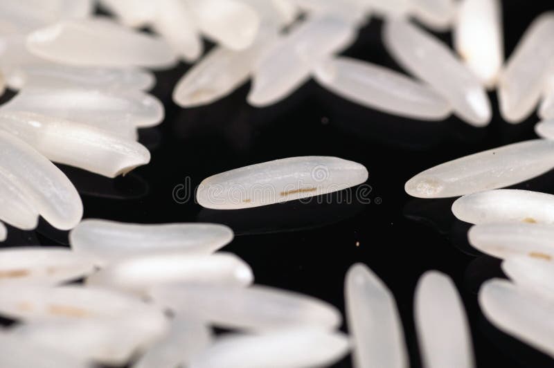 Het eten van Rijst stock foto. Image of chinees, eten - 5959028