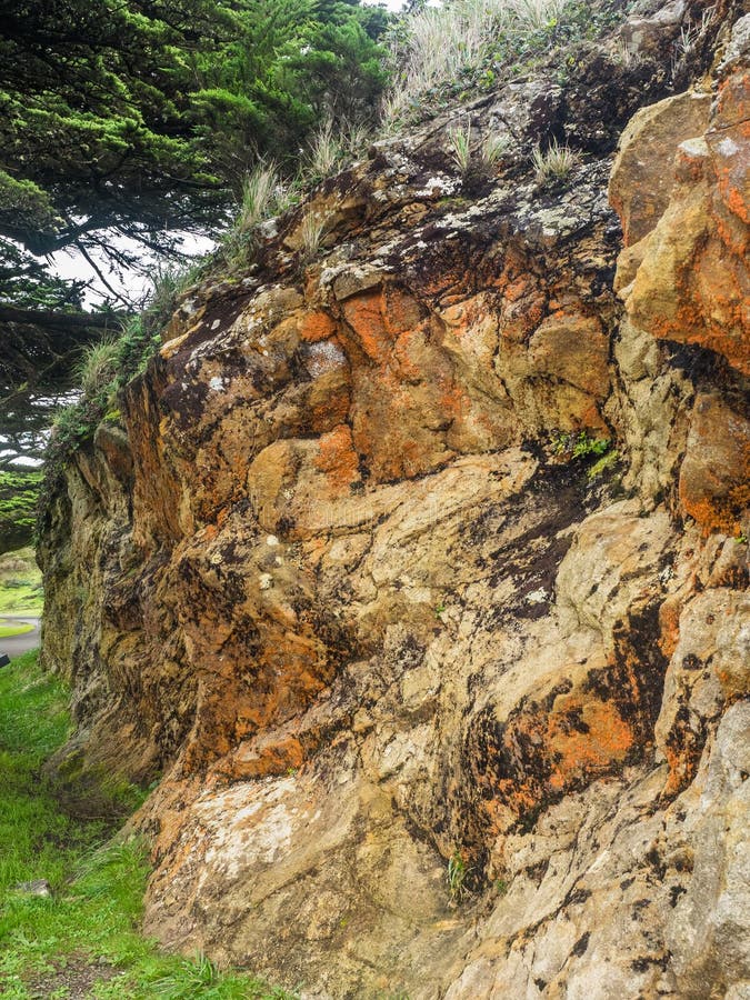 Korstmos op rots stock afbeelding. Image of borgtocht - 83756943