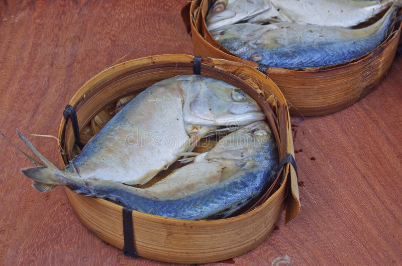 Kort makrill arkivfoto. Bild av aptitretande, disk, matlagning - 49002056