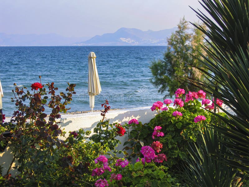 Kos Beach with Flower Wall, Greece Stock Photo - Image of evening ...
