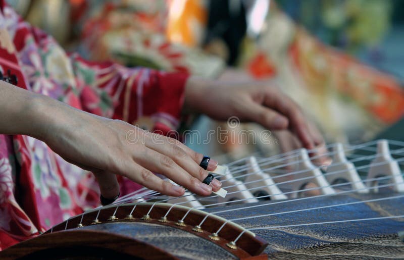 Koto stock photo. Image of fragility, koto, exotic, fragile - 531090