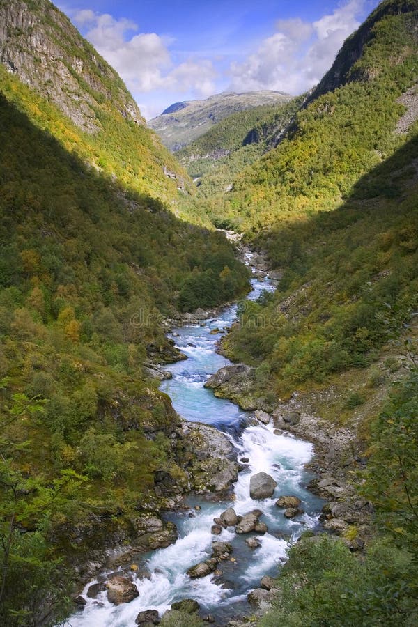 Koude Rivier Tussen Bomen Dichtbij Partnach-Kloof in De Wintertijd ...