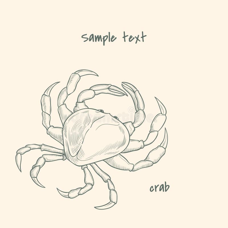 Krab vector illustratie. Illustration of dier, eten, inkt - 70523847