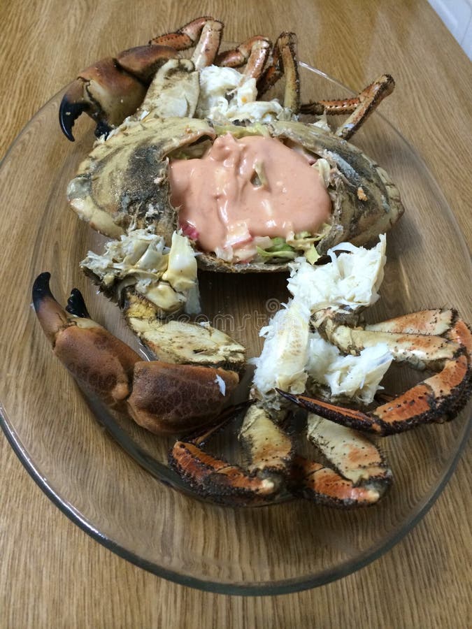 Krabba arkivfoto. Bild av krabba, gott, räka, today, räkor - 49334482