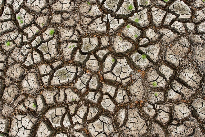 Bruten Torr Mark Utan Vattenabstrakt Bakgrund Arkivfoto - Bild av grön ...