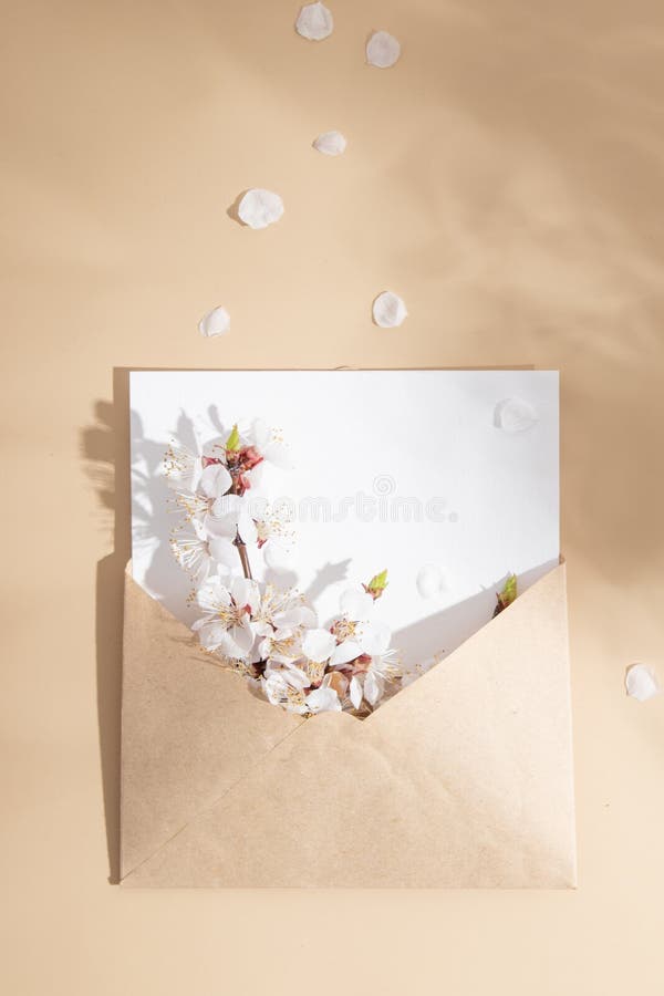 Kraft Envelope with a Spring Twig and White Spring Flowers on a Beige ...