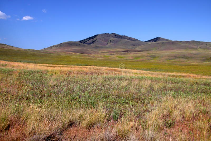 Preria krajobraz zdjęcie stock. Obraz złożonej z gospodarstwo - 26883120