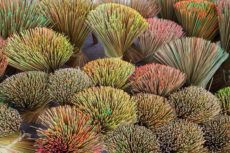 Krajood Trees Stock Photos - Free & Royalty-Free Stock Photos from ...