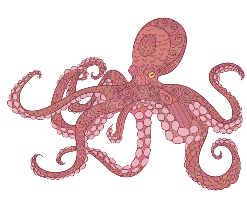 Krake mit hohen Details vektor abbildung. Illustration von gezeichnet ...