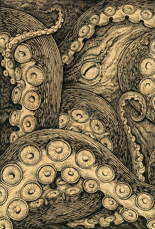 Kraken Stock Illustrations – 4,633 Kraken Stock Illustrations, Vectors ...