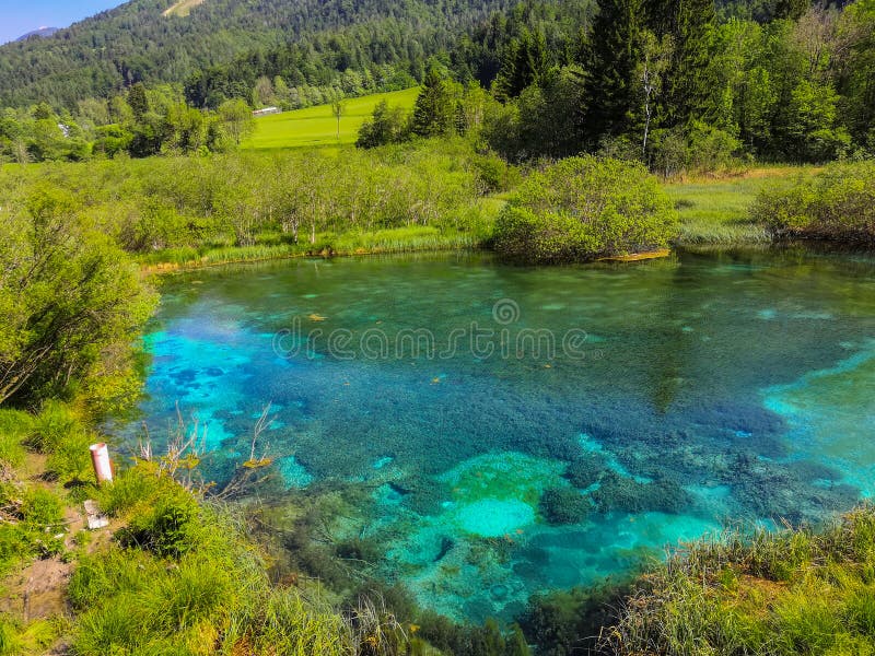 Kranjska Gora Zelenci Park Jeziorny Zelenci W Slovenia Podczas Wiosny ... Kranjska Gora Zelenci Park Jeziorny Zelenci W Slovenia Podczas Wiosny ...