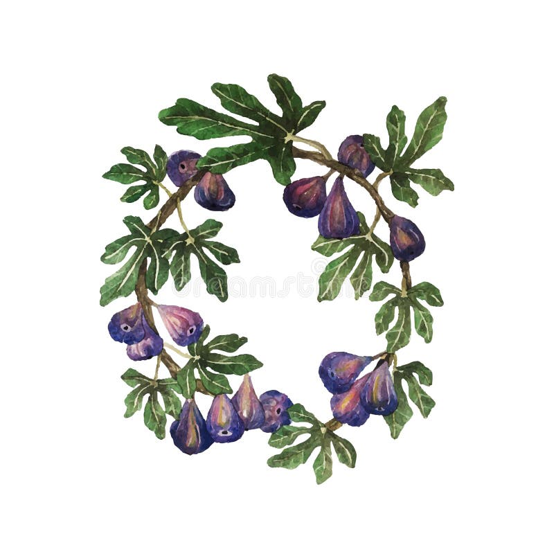 Kranz von Feigen stock abbildung. Illustration von feier - 79425926