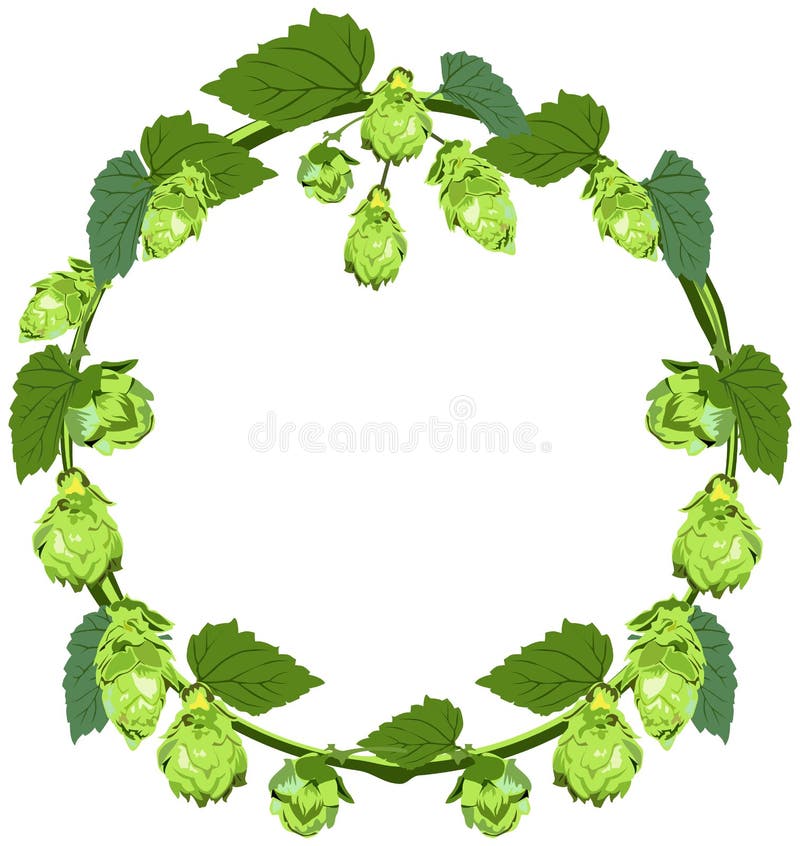 Kranz Von Hopfen in Form Eines Kreises Vektor Abbildung - Illustration ...