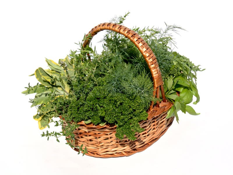 Kräuter in einem Korb stockbild. Bild von nahrung, botanik - 1768773