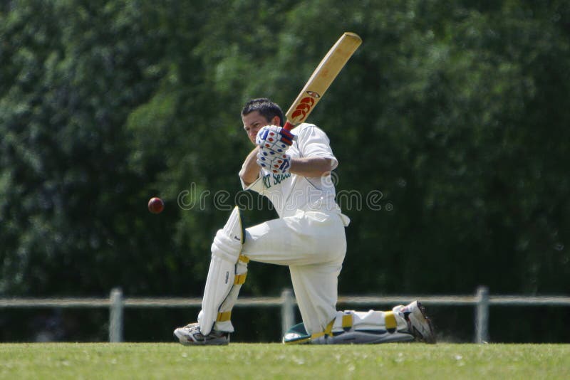 Kricketsport redaktionelles stockbild. Bild von deafens - 15507284