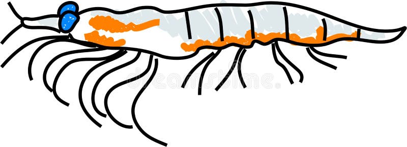 Krill stock illustration. Illustration of cartoon, isolated - 1924425