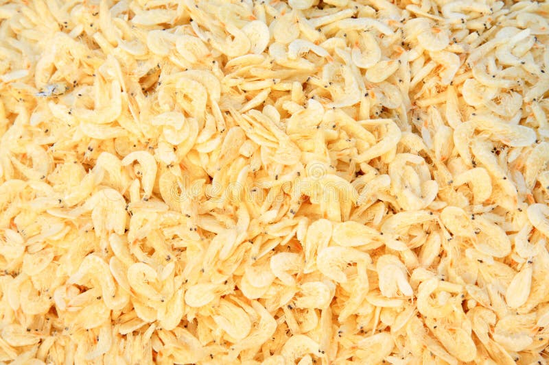 Krill feature stock photo. Image of eating, supply, delicious - 370506162