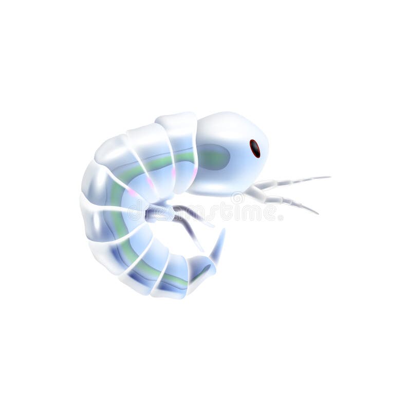 Krill Plankton Icon stock illustration. Illustration of brachionus ...