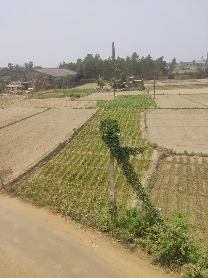 Calti Village West Bengal Stock Photos - Free & Royalty-Free Stock ...