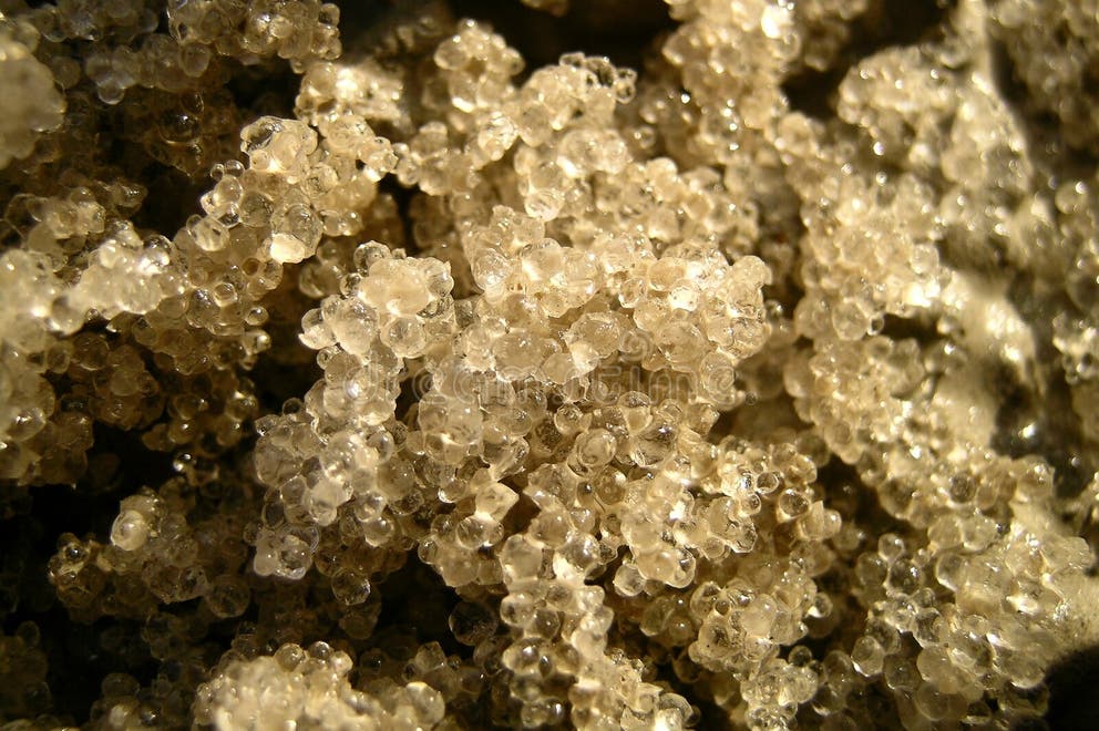 Kristallis arkivfoto. Bild av natur, vitt, bakgrund, frostigt - 12483434