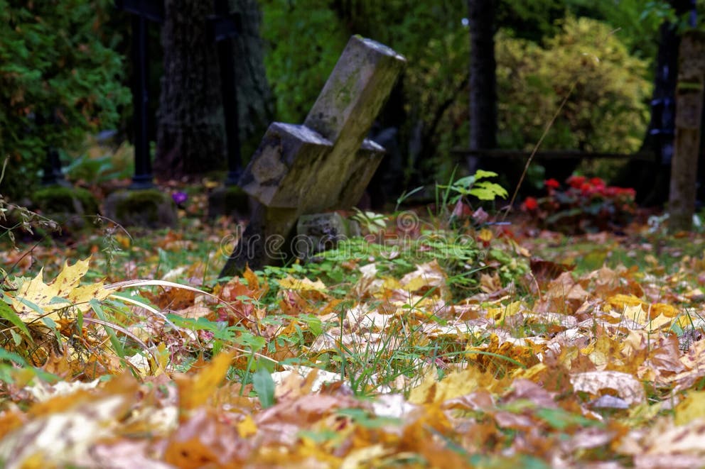 Kristet kors arkivfoto. Bild av kors, religion, falla - 101256244
