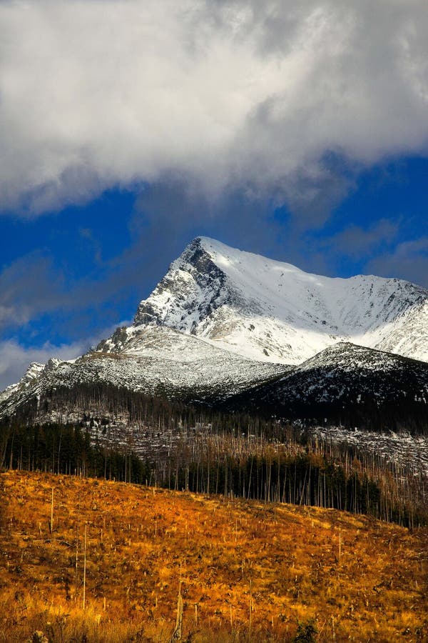 Krivan стоковое фото. изображение насчитывающей символ - 68936350