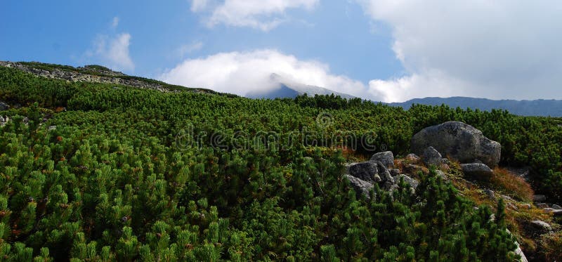 Krivan, the Tatra Mountains Stock Image - Image of rock, mountain: 17169435