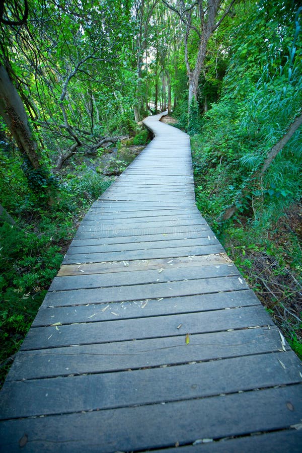Krka Forest River Wood Path Stock Photo - Image of green, holiday: 51092218