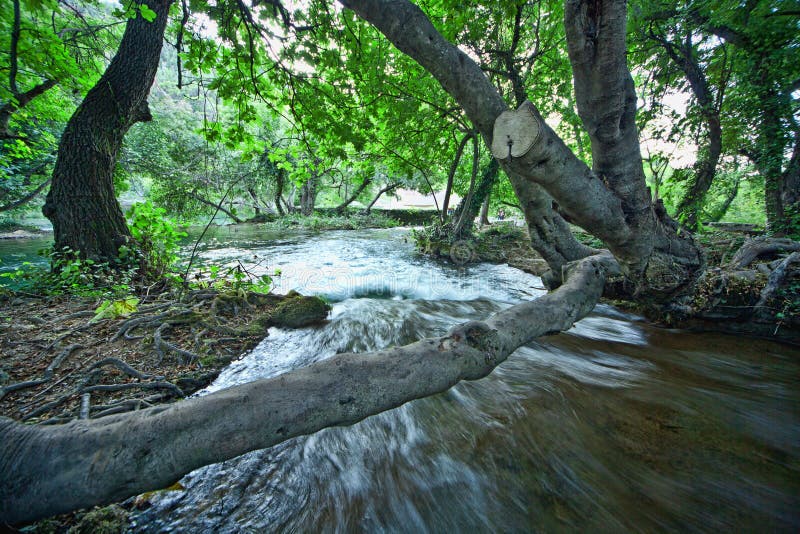 Krka Forest River Wood Path Stock Image - Image of scenery, grass: 51092289