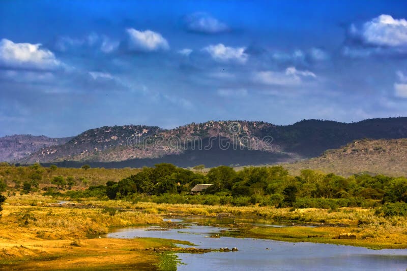 Krokodil in de rivier Nijl stock afbeelding. Image of rivieroever ...