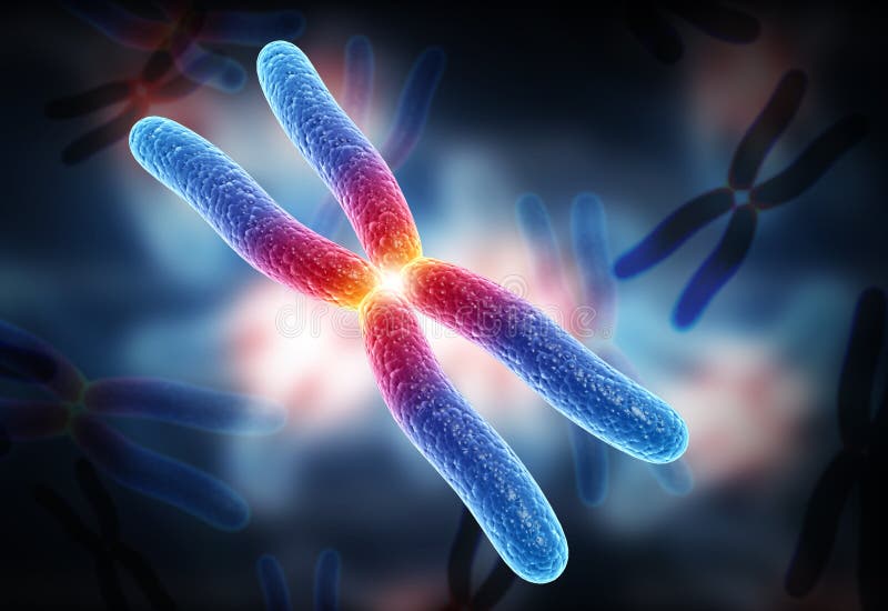 Kromosom DNA fotografering för bildbyråer. Bild av mänskligt - 85259371