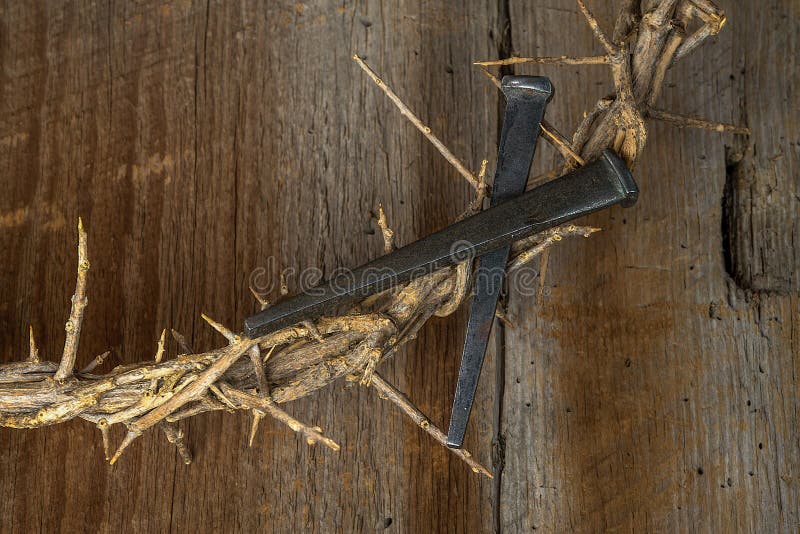 Kronan Av Taggar Med Spikar Fotografering för Bildbyråer - Bild av ...