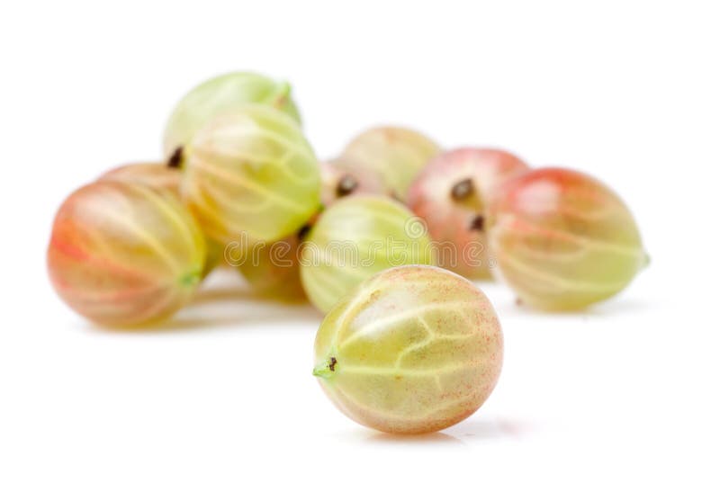 Kruisbes stock afbeelding. Image of groen, ingrediënt - 127007595