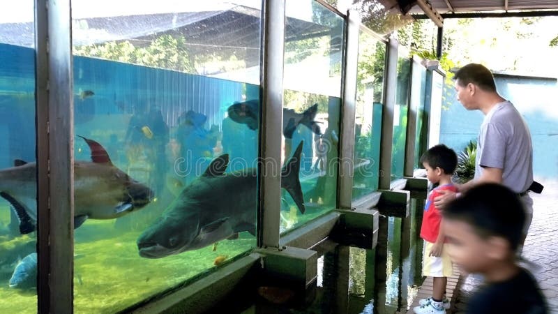 Kuala Lumpur Zoo, Malaysia redaktionelles bild. Bild von mekong - 64060845