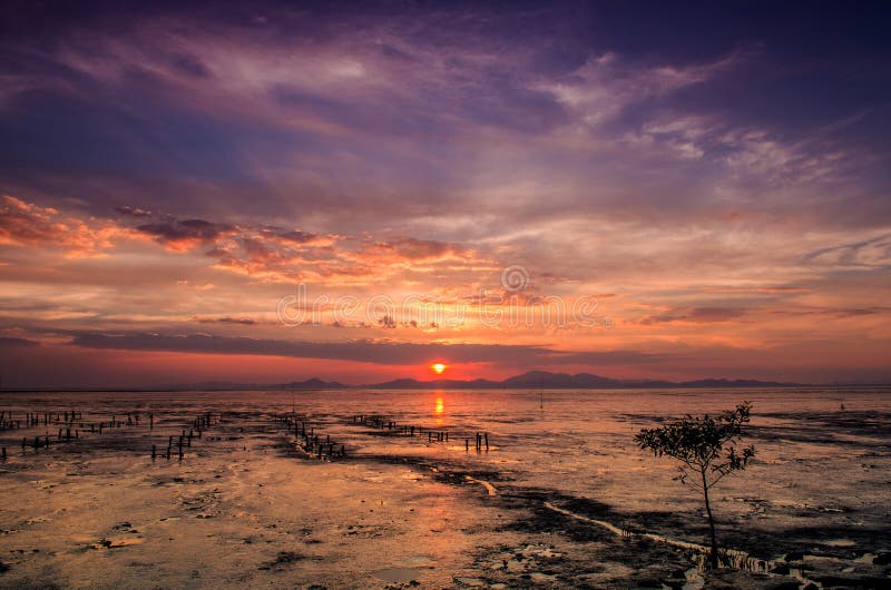 165 Kuala Perlis Stock Photos - Free & Royalty-Free Stock Photos from ...